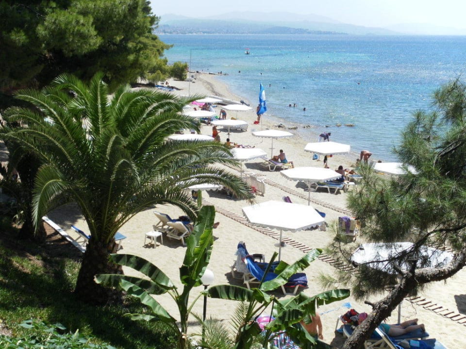 "Пляж,вид сверху" Hotel Porfi Beach (Metamorphosis) • HolidayCheck ...