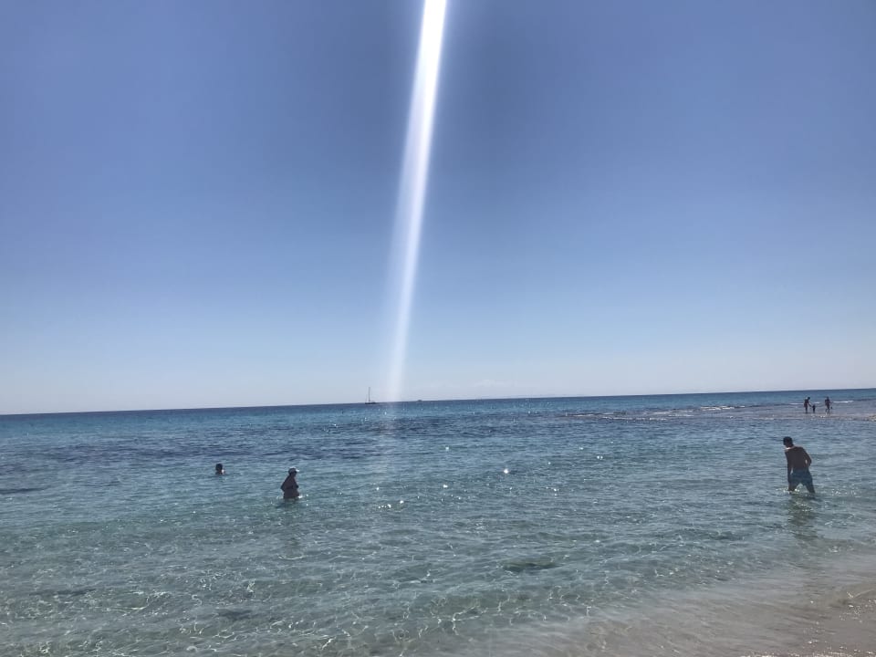 "Strand" Sol Milanos Pinguinos by Melia (Son Bou) • HolidayCheck ...