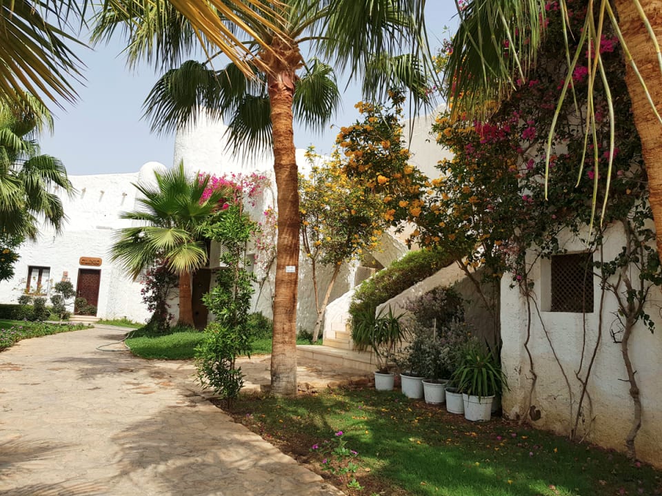 "Gartenanlage" Sharm Club Beach Resort (Sharm el Sheikh) • HolidayCheck ...