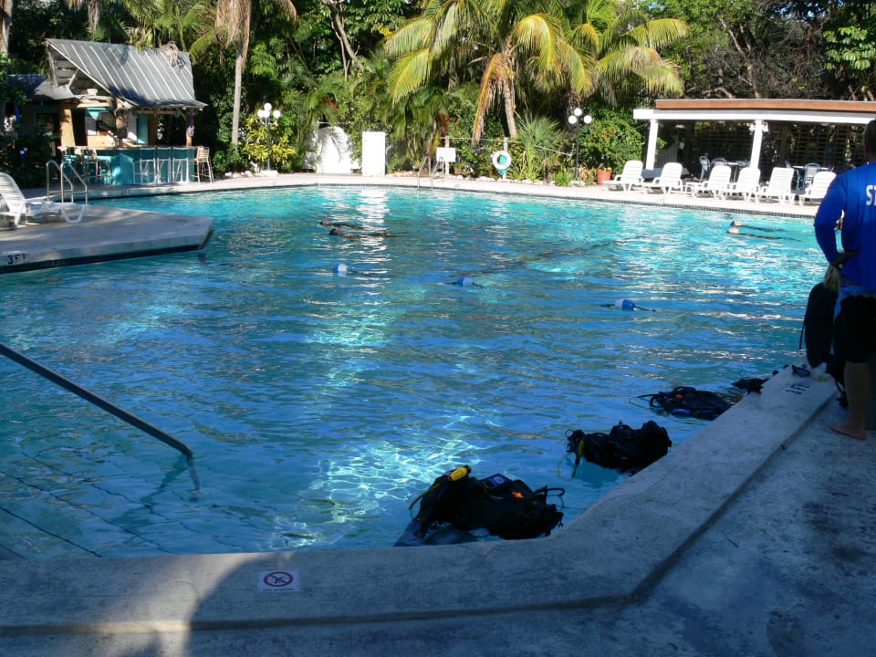 "Hotel Pool" Hotel Banana Bay Resort & Marina - Marathon (Marathon ...