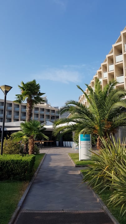 "Außenansicht" Aminess Maestral Hotel (Novigrad) • HolidayCheck ...