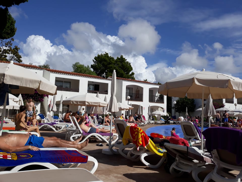 "Pool" FERGUS Club Europa (Peguera) • HolidayCheck (Mallorca | Spanien)
