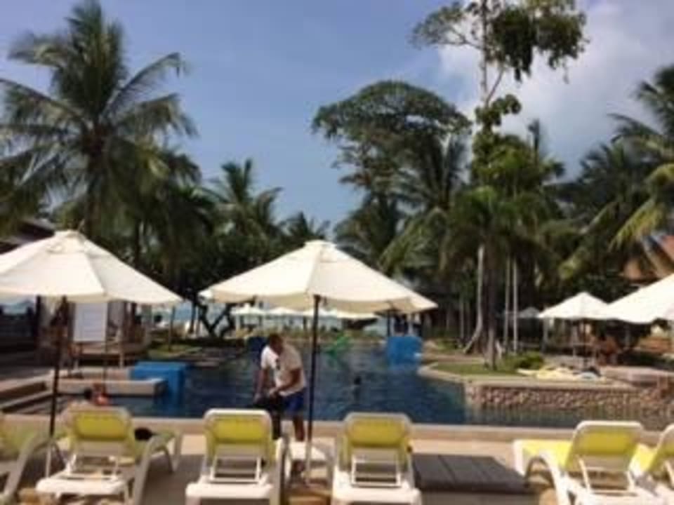 "Beachside" Beyond Samui (Chaweng Beach) • HolidayCheck (Koh Samui ...