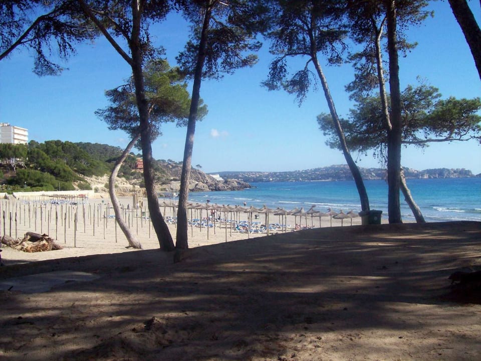 "Strand Santa Ponca" Club Santa Ponsa (Calvia) • HolidayCheck (Mallorca ...