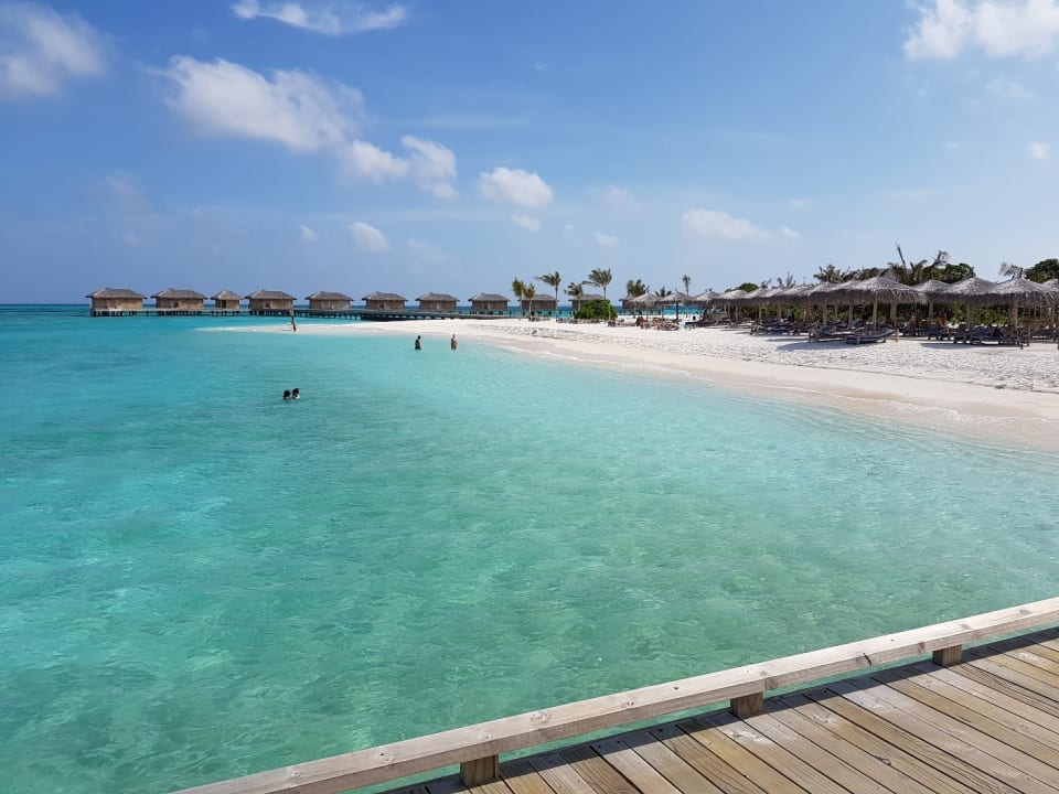 "Strand im Nordwesten" You & Me Maldives (Raa Maamigili) • HolidayCheck ...