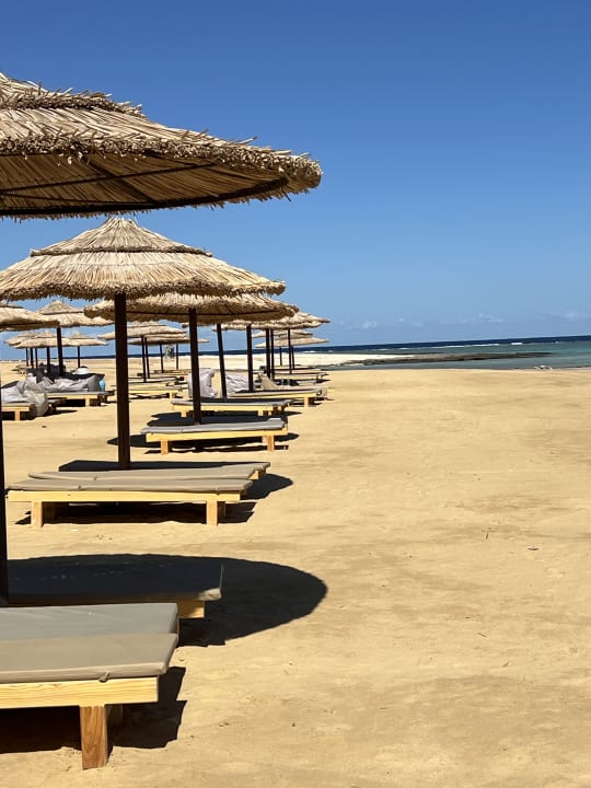 "Strand" True Beach Village (Marsa Alam) • HolidayCheck (Marsa Alam/El ...