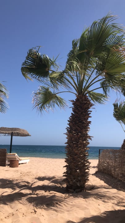 "Strand" Lotus Bay Beach Resort (Abu Soma) • HolidayCheck (Hurghada ...
