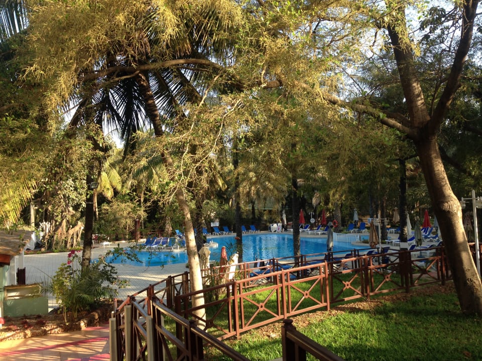 "Pool" Hotel Senegambia Beach (Senegambia) • HolidayCheck (West Coast ...