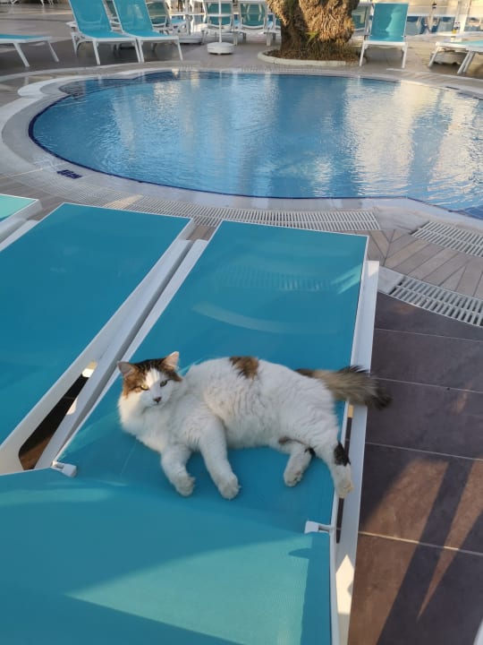 "Pool" Hotel Sandy Beach (Side) • HolidayCheck (Türkische Riviera | Türkei)