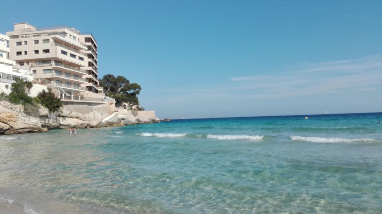 "Strand Cala Mayor" BQ Belvedere Hotel (Cala Major) • HolidayCheck ...