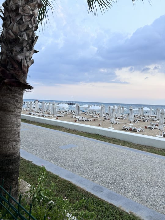 "Strand" PALOMA Perissia (Side - Kumköy) • HolidayCheck (Türkische ...