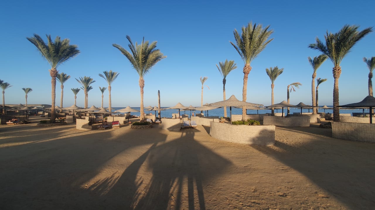 "Strand" Blend Elphistone Resort (Marsa Alam) • HolidayCheck (Marsa ...