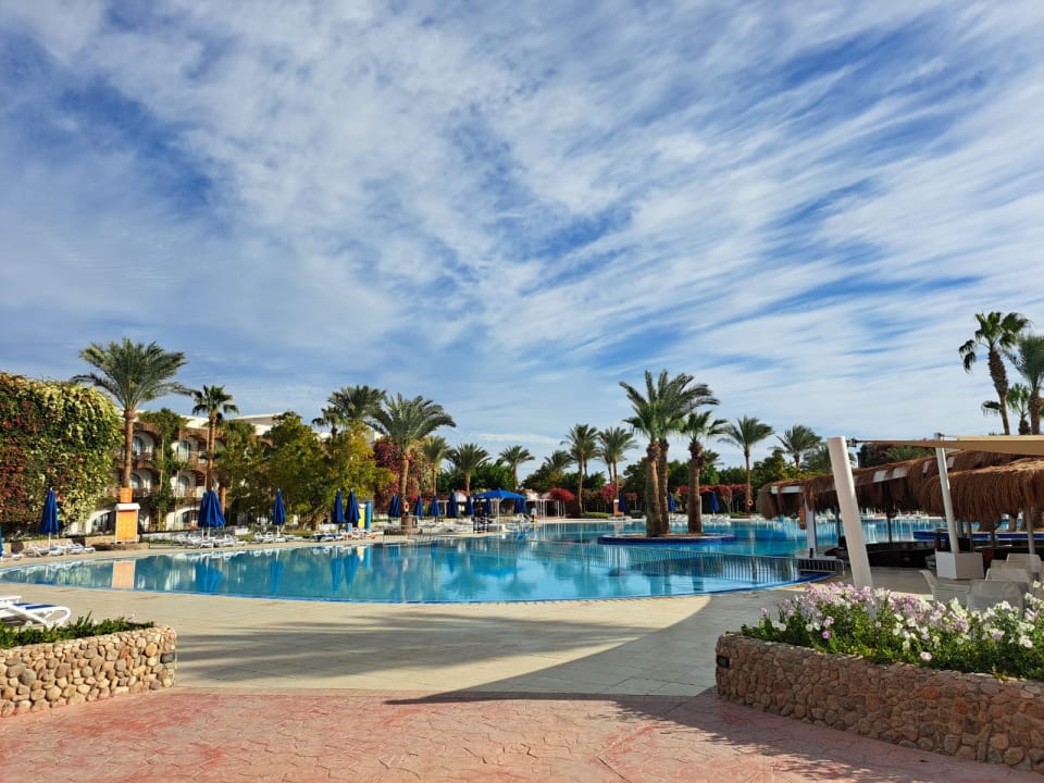 "Pool" Desert Rose Resort (Hurghada) • HolidayCheck (Hurghada/Safaga ...
