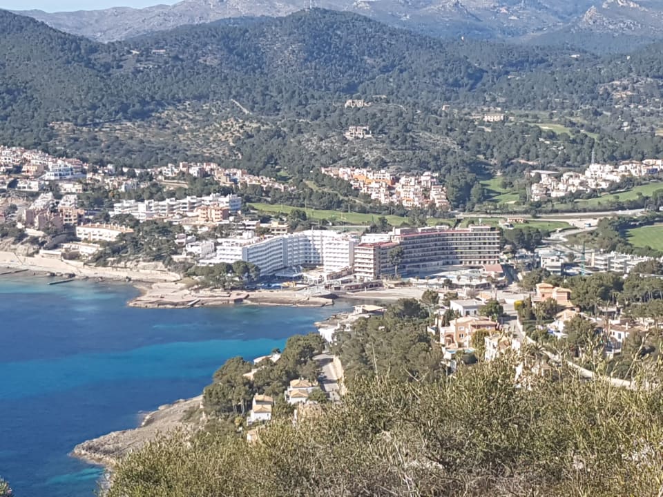 "Ausblick" Alua Gran Camp de Mar (Camp de Mar) • HolidayCheck (Mallorca ...