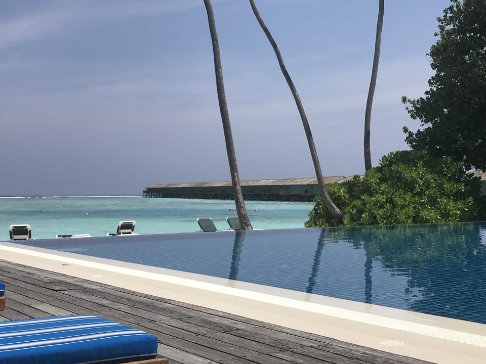 "Pool" Meeru Maldives Resort Island (Dhifushi) • HolidayCheck (Kaafu ...