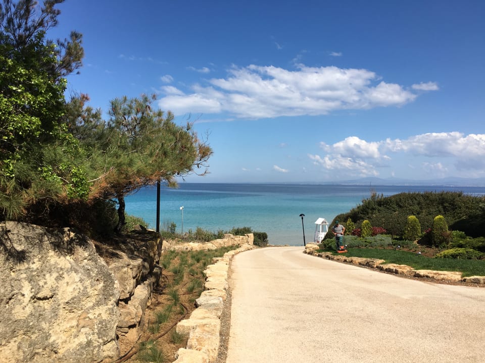 "Strand" Sani Beach (Cap Sani) • HolidayCheck (Chalkidiki | Griechenland)