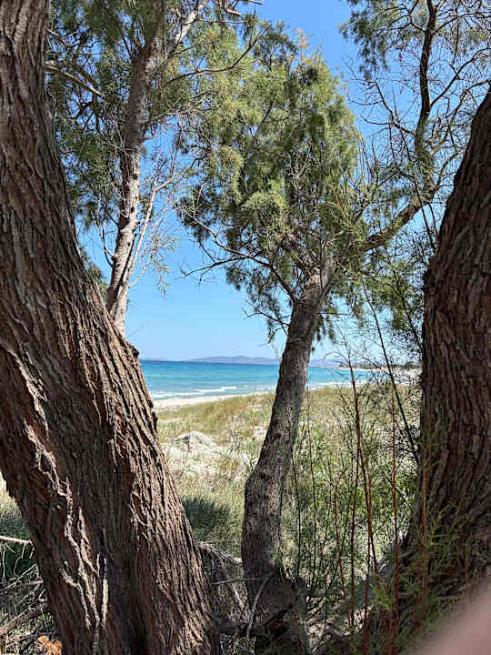 "Strand" Hotel Horizon Beach Resort (Mastichari) • HolidayCheck (Kos ...