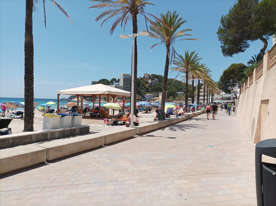 "Strandpromenade " allsun Hotel Paguera Park (Peguera) • HolidayCheck ...