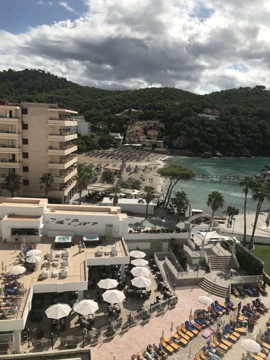 "Ausblick" Alua Gran Camp de Mar (Camp de Mar) • HolidayCheck (Mallorca ...