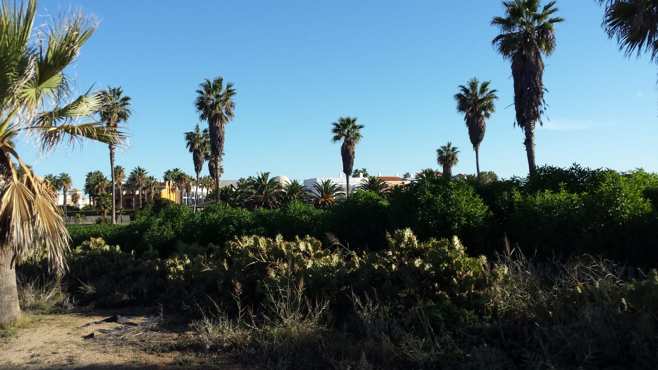 "Außenansicht" Playaballena Hotel (Costa Ballena) • HolidayCheck (Costa ...