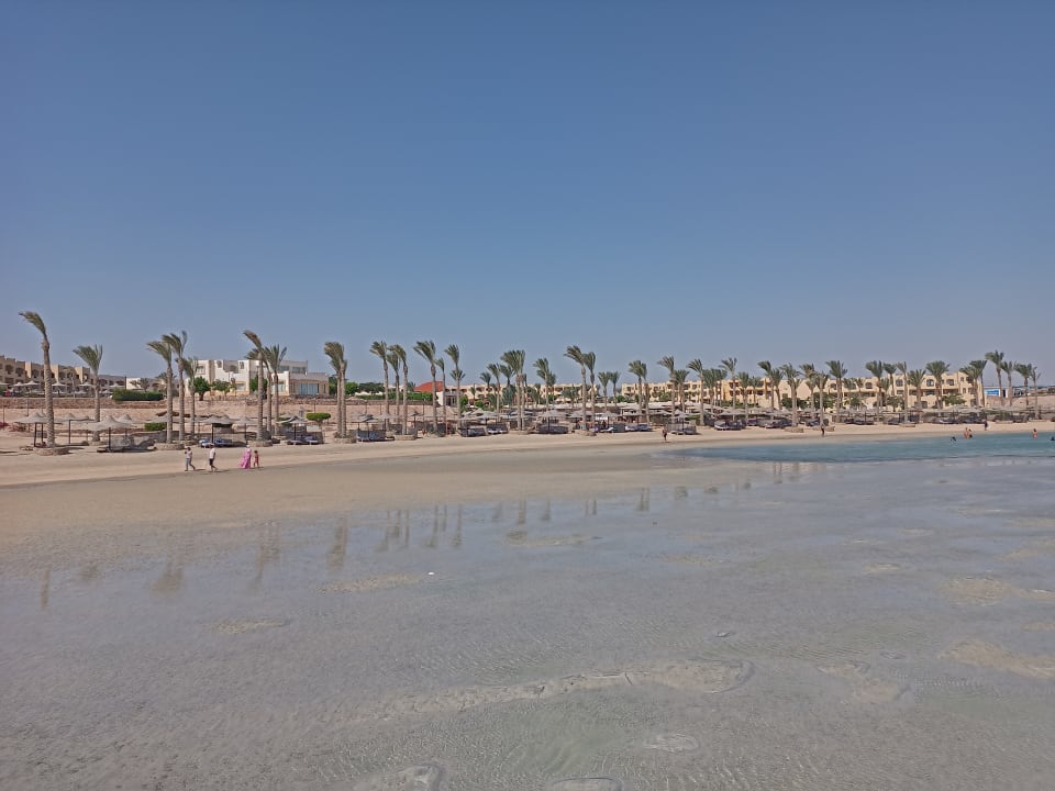 "Außenansicht" Blend Elphistone Resort (Marsa Alam) • HolidayCheck ...