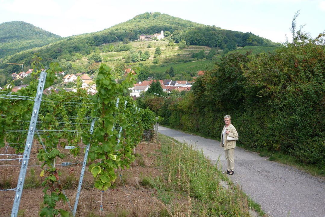 "Die Landschaft um das Hot..." Hotel Leinsweiler Hof (Ilbesheim bei ...