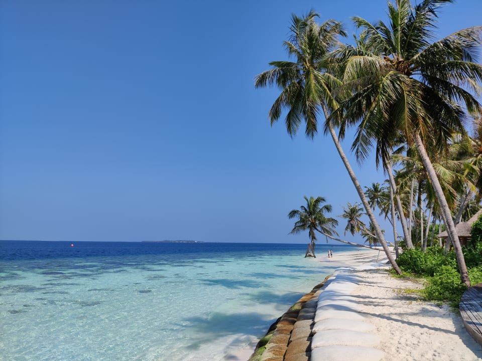 "Zimmer" Reethi Faru Resort (Meedhoo) • HolidayCheck (Raa Atoll ...