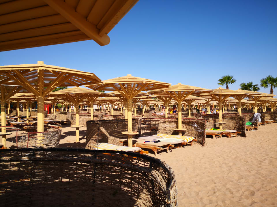 "Místní lehátka na pláži " TIA Heights Makadi Bay (Makadi Bay ...