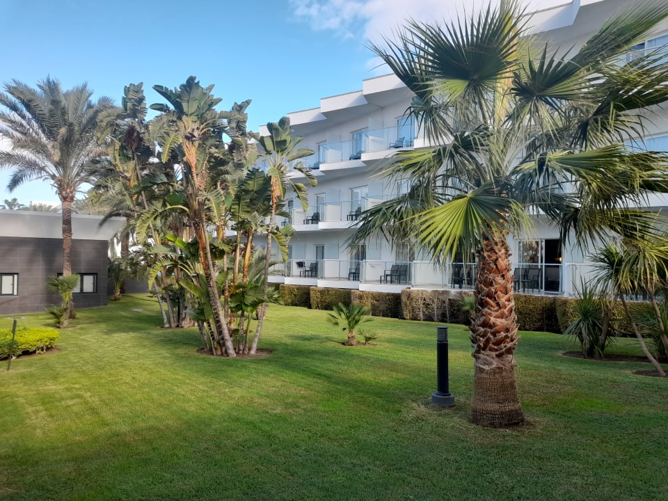 "Strand" Hotel Riu Costa del Sol (Torremolinos) • HolidayCheck (Costa ...