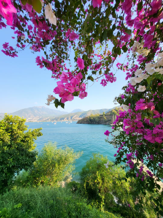 "Ausblick" Club & Hotel Letoonia (Fethiye) • HolidayCheck (Türkische ...