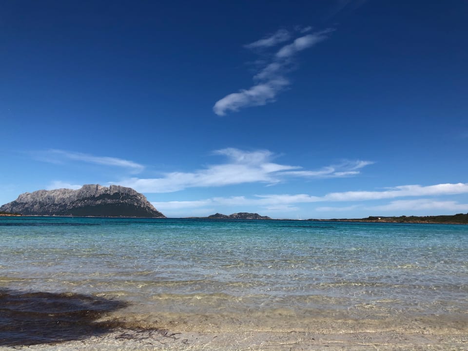 "Strand" Hotel Sa Pedra (Murta Maria) • HolidayCheck (Sardinien | Italien)