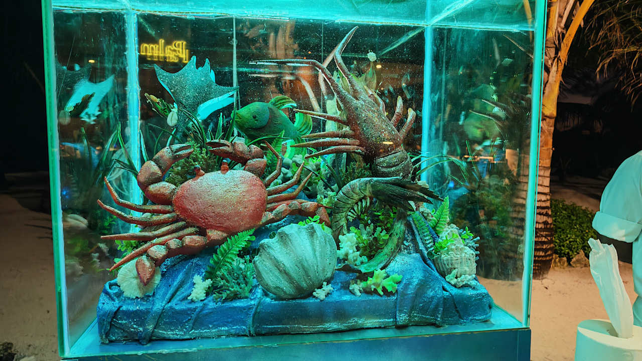 "Gastro" Hotel Riu Palace Maldivas (Kudahuvadhoo) • HolidayCheck ...