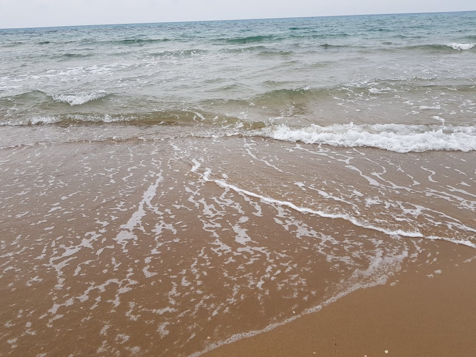 "Meer" Royal Alhambra Palace (Colakli) • HolidayCheck (Türkische ...