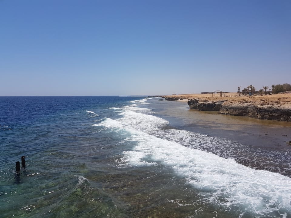 "Strand" Dreams Beach Resort Marsa Alam (El Quseir) • HolidayCheck ...