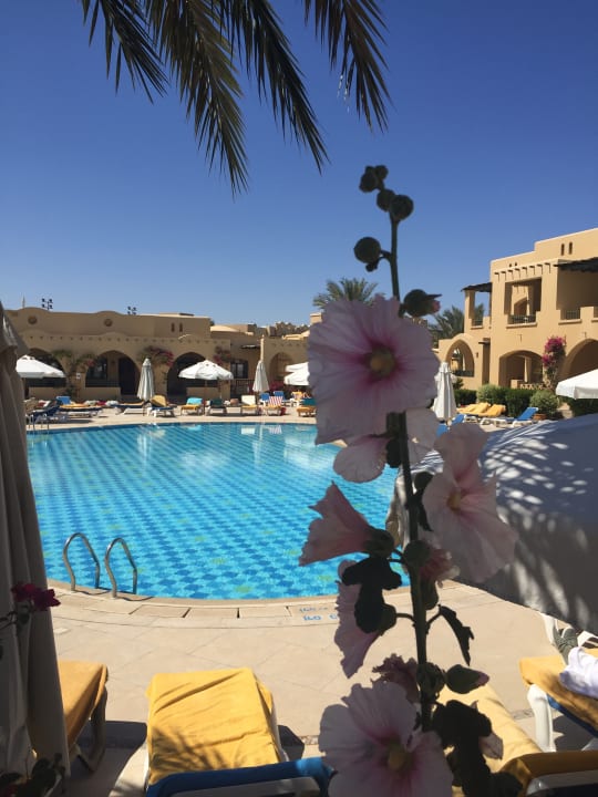 "Pool" Three Corners Rihana Resort Deluxe (El Gouna) • HolidayCheck ...