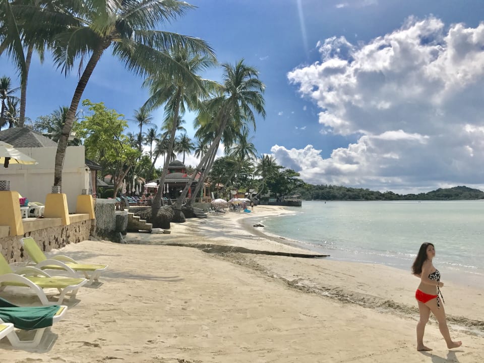 "Strand" Beyond Samui (Chaweng Beach) • HolidayCheck (Koh Samui | Thailand)