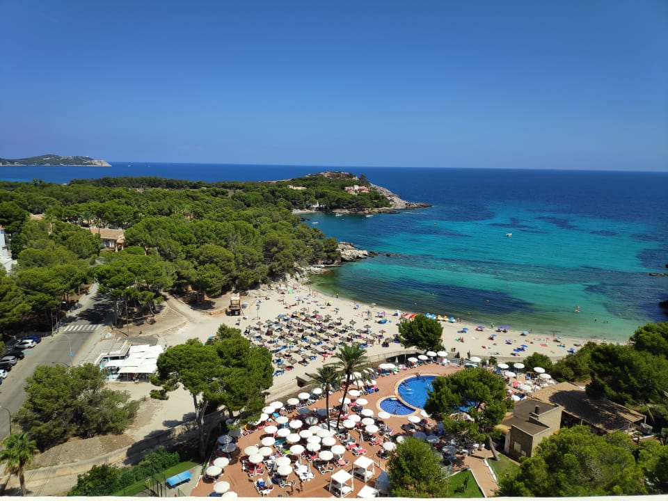 "Ausblick" AluaSoul Carolina - Adults Only (Capdepera) • HolidayCheck ...