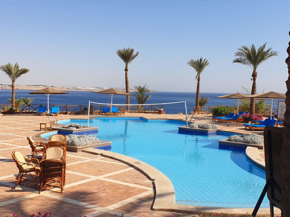"Pool" Club Reef Hotel (Sharm el Sheikh) • HolidayCheck (Sharm el ...