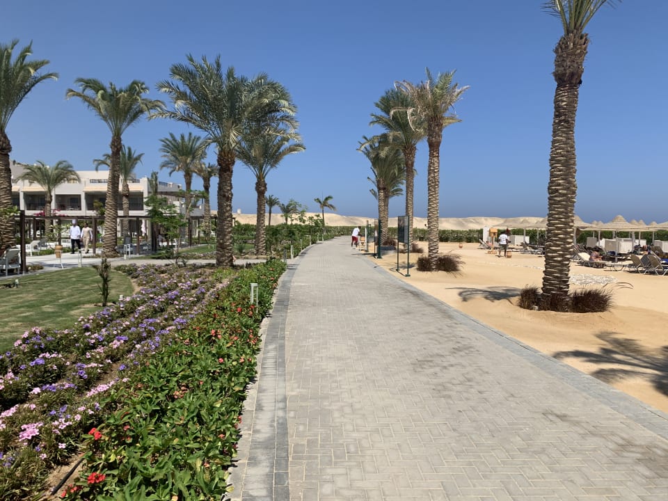 "Strand" Iberotel Costa Mares (Marsa Alam) • HolidayCheck (Marsa Alam ...