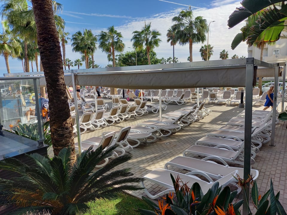 "Pool" Hotel Riu Costa del Sol (Torremolinos) • HolidayCheck (Costa del ...