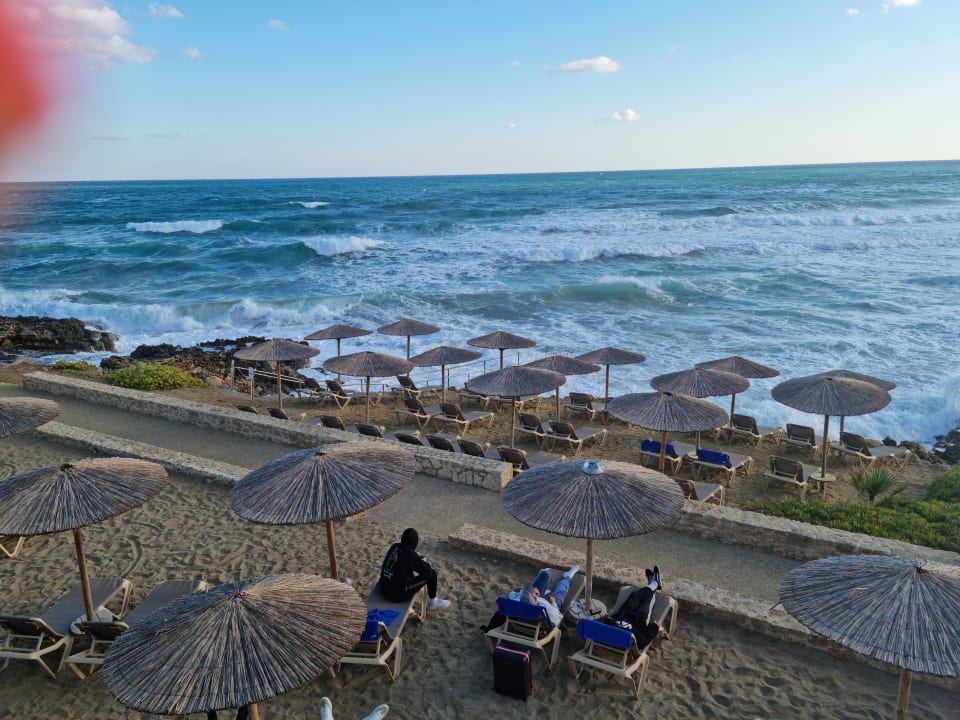 "Hotelanlage" Cactus Bay (Stalis) • HolidayCheck (Kreta | Griechenland)