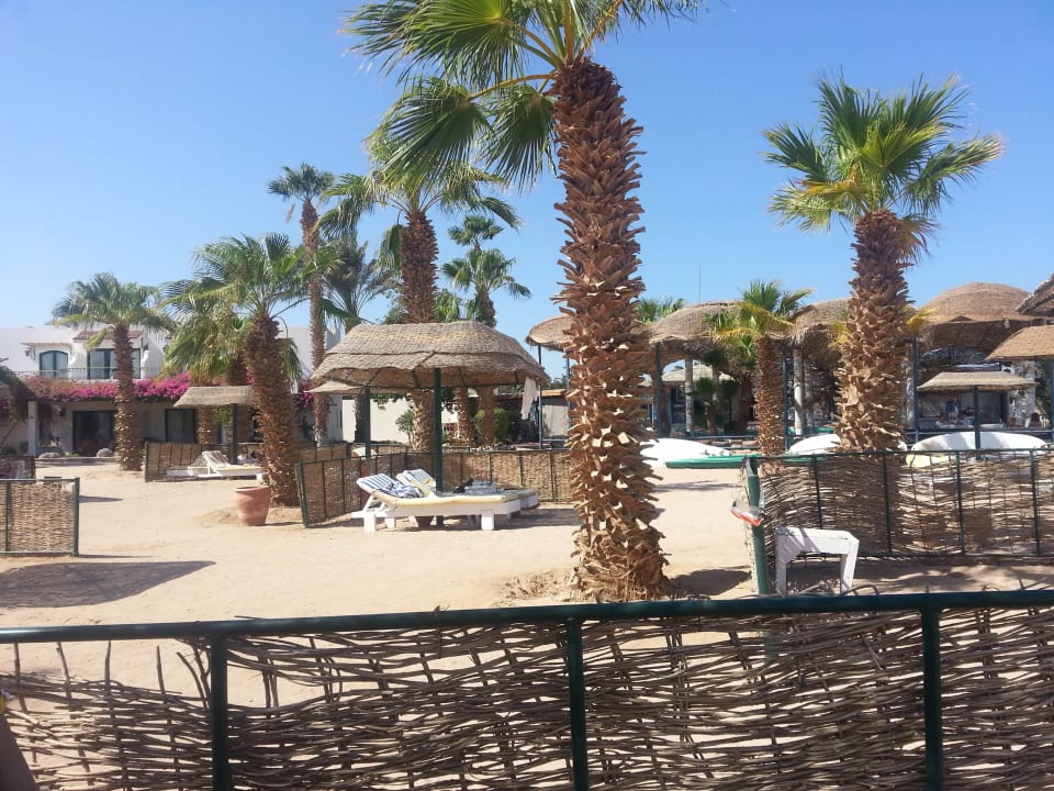 "Außenansicht" Lotus Bay Beach Resort (Abu Soma) • HolidayCheck ...