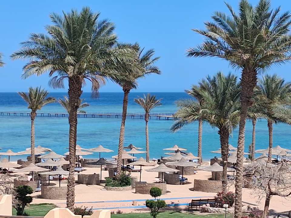 "Strand" Blend Elphistone Resort (Marsa Alam) • HolidayCheck (Marsa ...