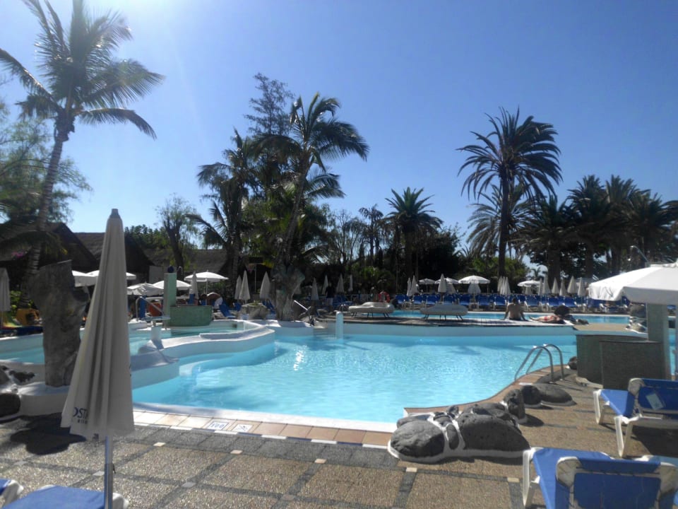 "Pool" Bull Costa Canaria & Spa - Adults only (San Agustin ...