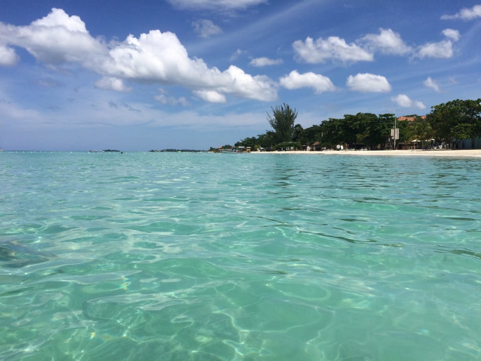 "flaches, sauberes Meer" Charela Inn Hotel (Negril) • HolidayCheck ...