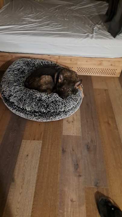 "Zimmer" My Arbor - Dolomites (Bressanone / Brixen) • HolidayCheck ...