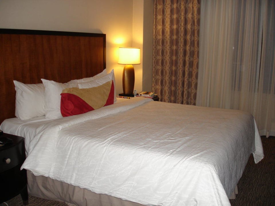 "King Evolution Room" Hilton Garden Inn Times Square (New York ...