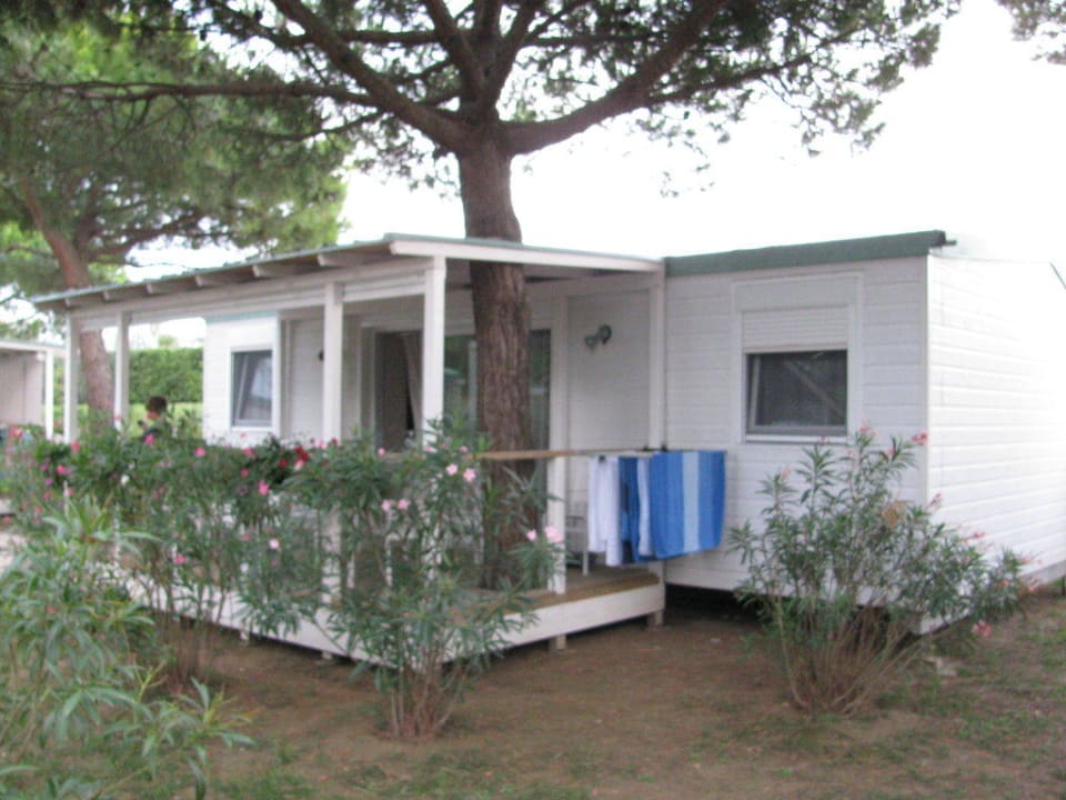 "Pool" Camping Jesolo International (Jesolo) • HolidayCheck (Venetien ...
