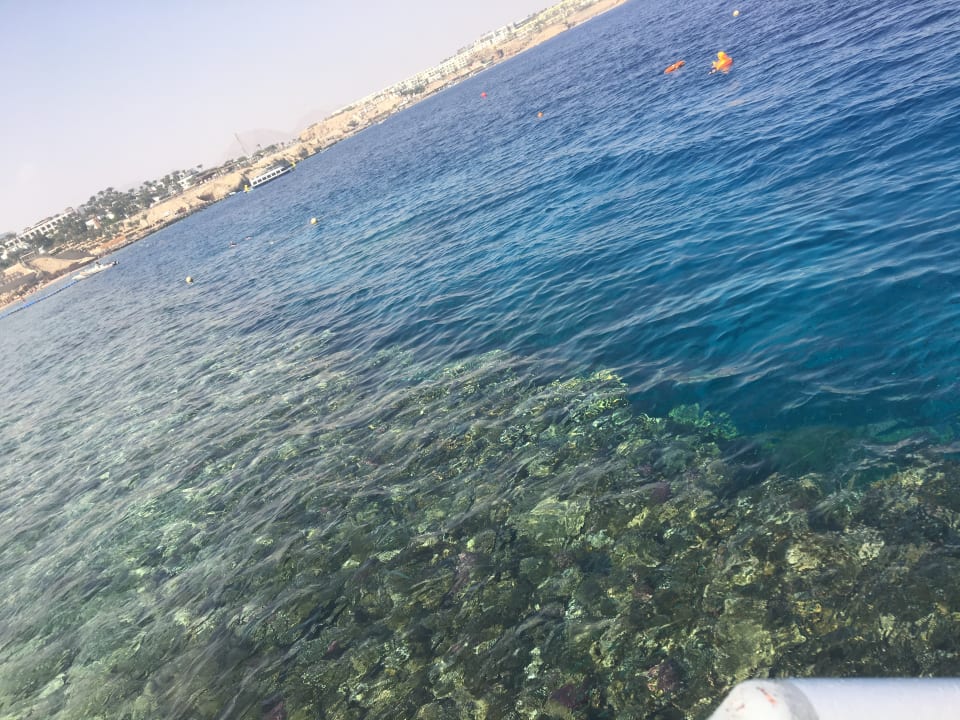 "Das Riff " SUNRISE Arabian Beach Resort - Grand Select (Sharm el ...