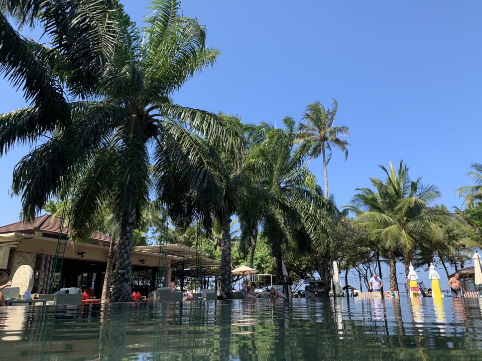 "Pool" Segara Village Hotel (Sanur) • HolidayCheck (Bali | Indonesien)